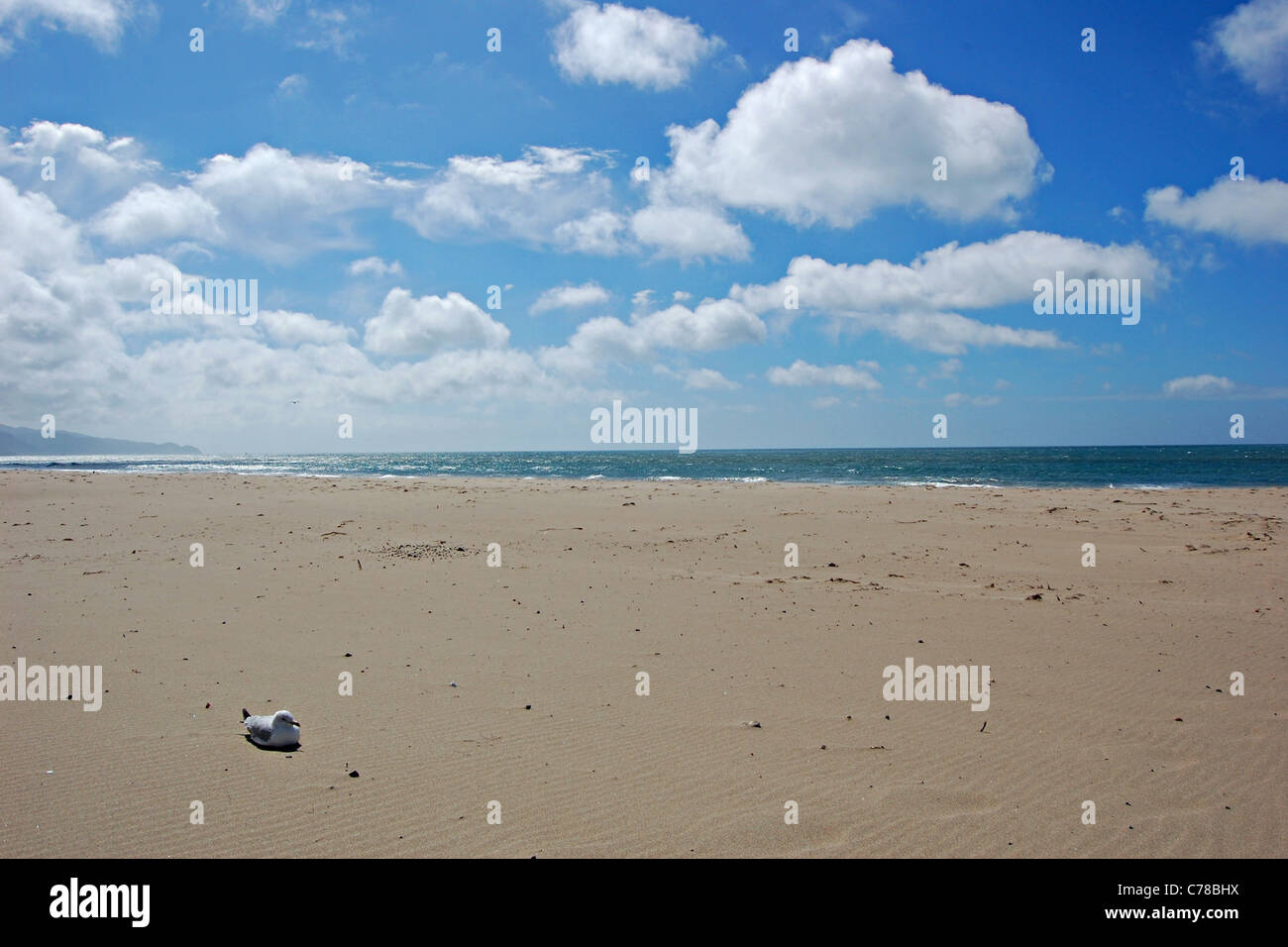 Limantour Beach, Point Reyes National Seashore, California USA Stock ...