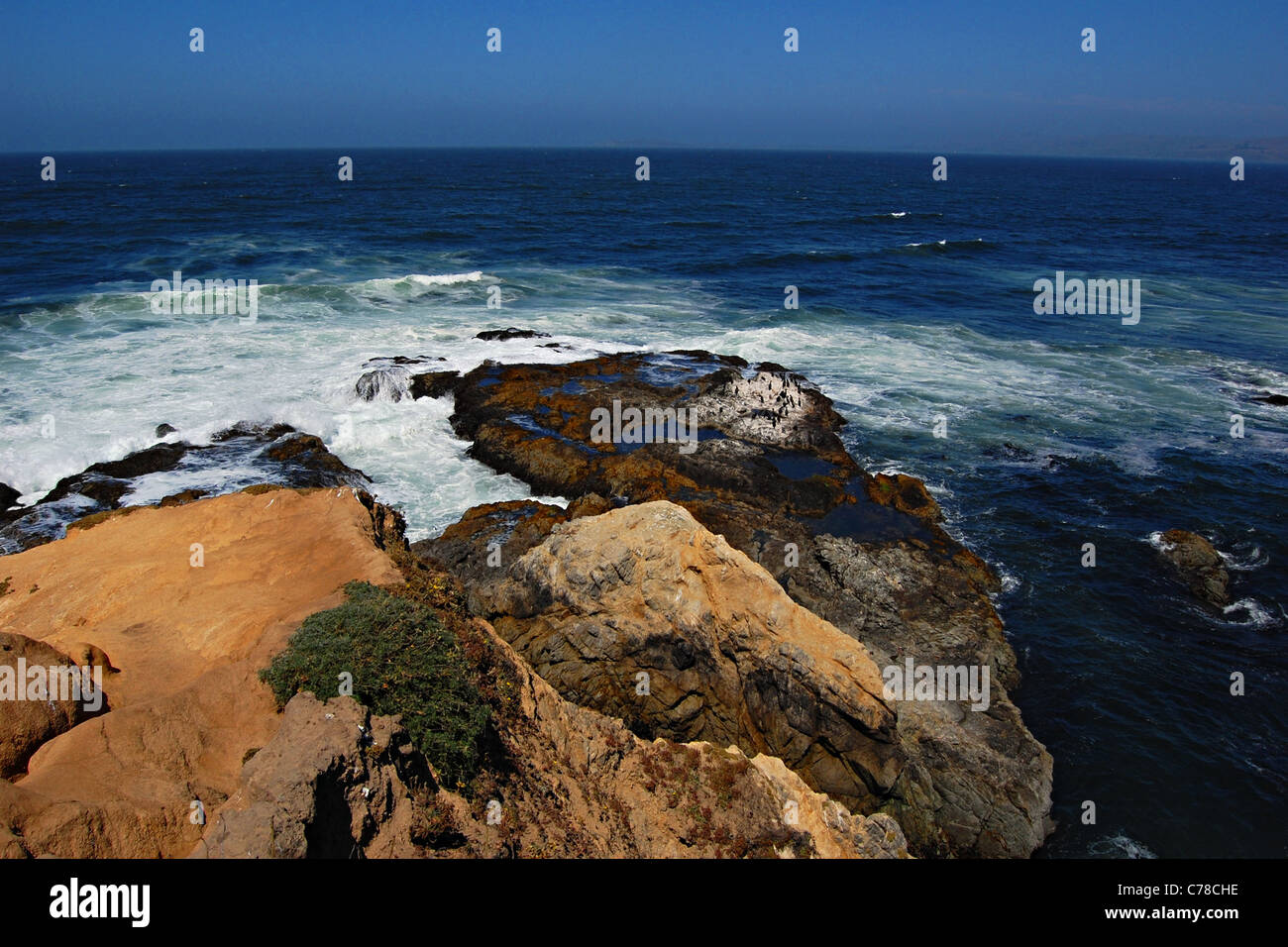 Tomales Point, Point Reyes National Seashore, California Stock Photo ...