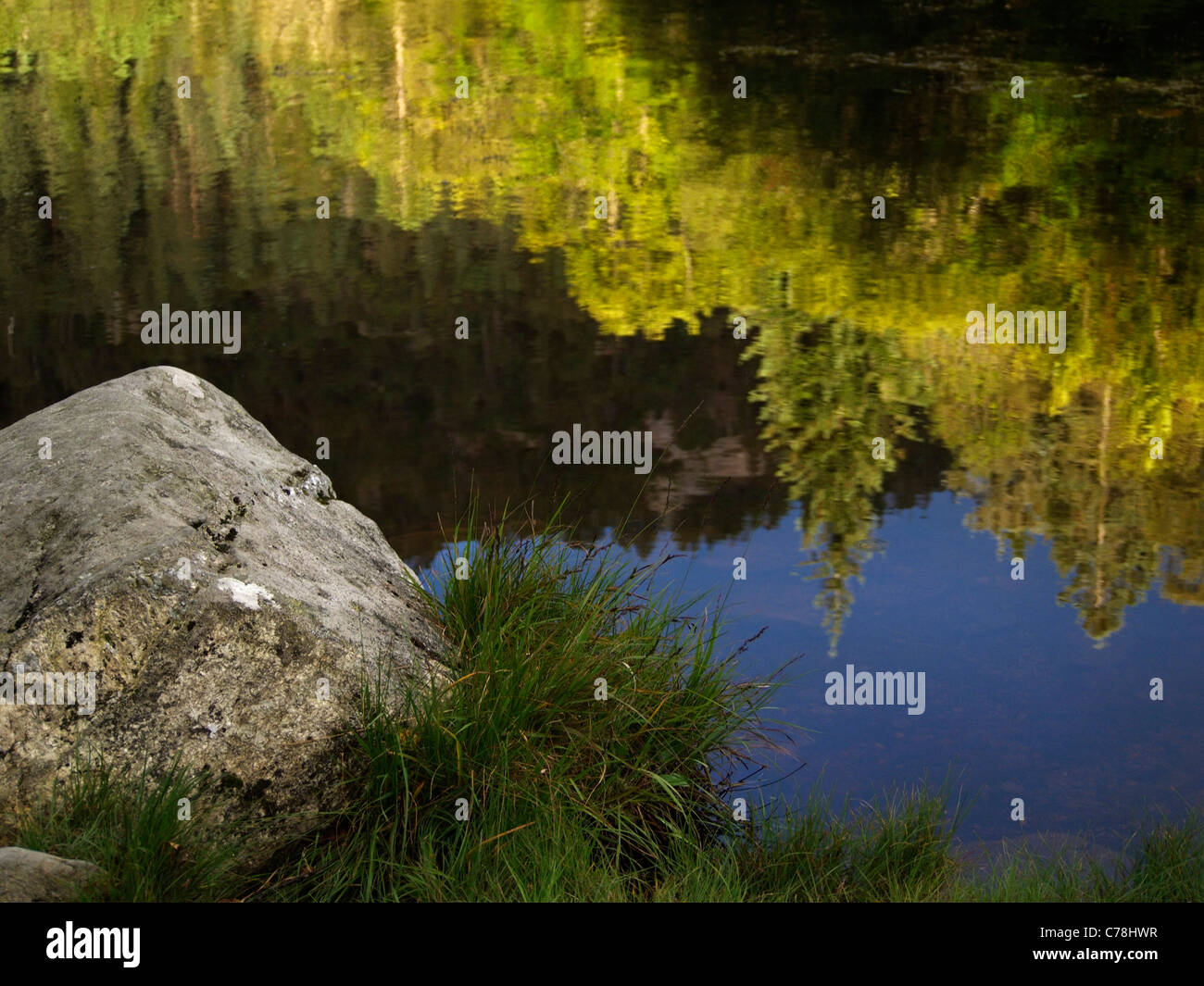 Trees reflected in Skomakerdiket lake, Mt Fløyen, Bergen, Norway Stock ...