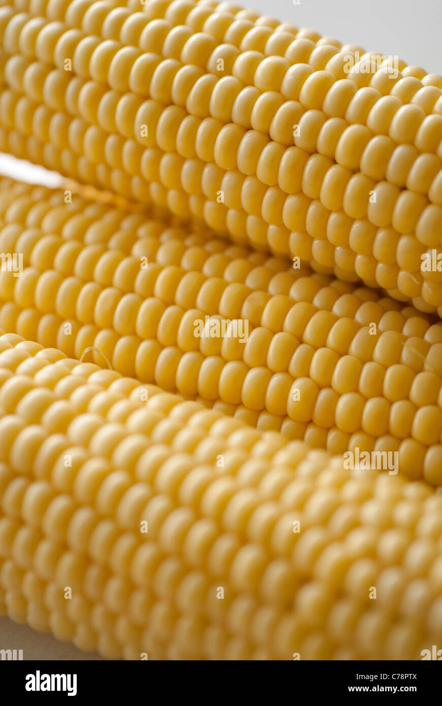 corn on a cob close-up Stock Photo - Alamy