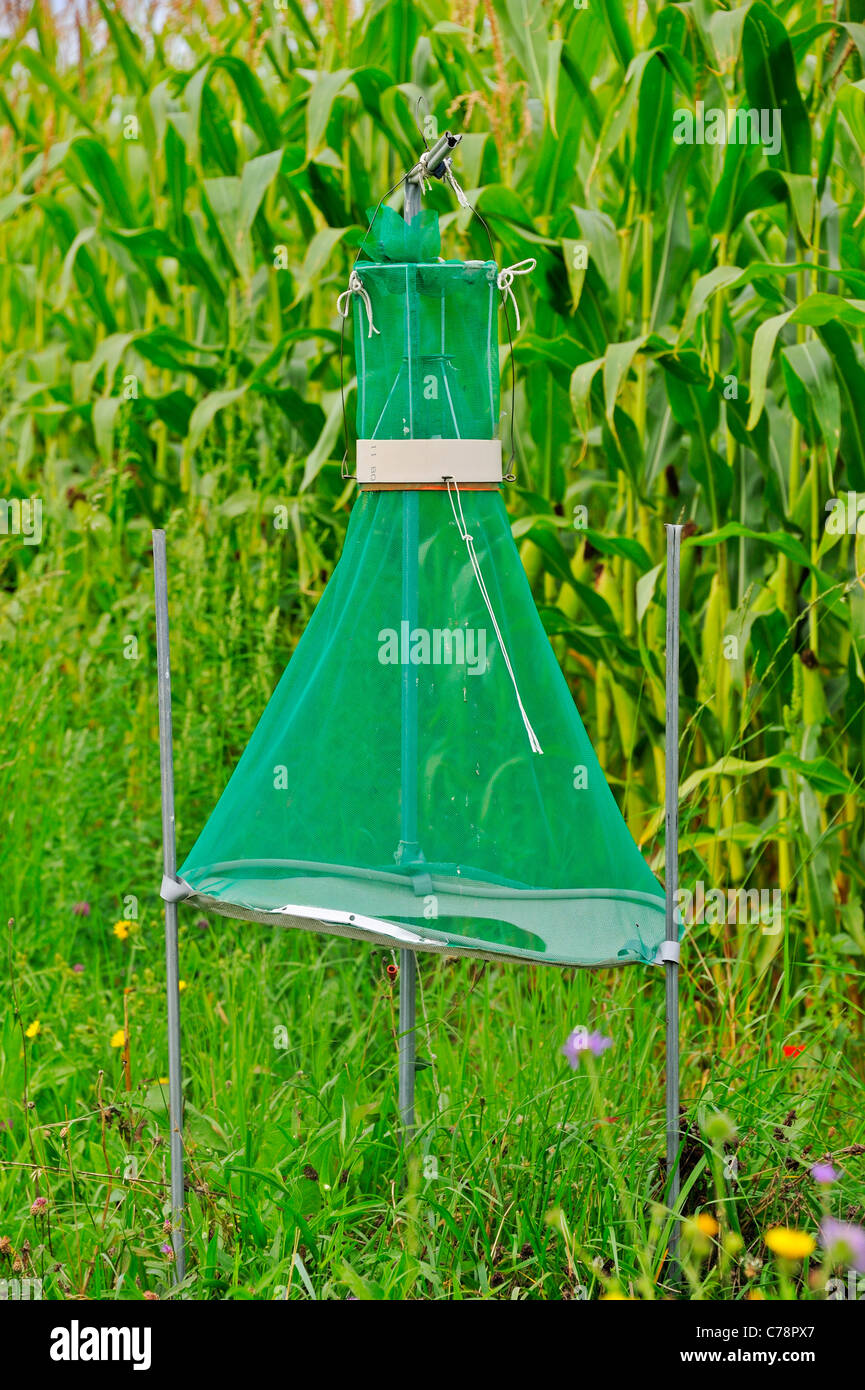 A pheromone-baited trap for European Corn Borer (Ostrinia nubialis ...