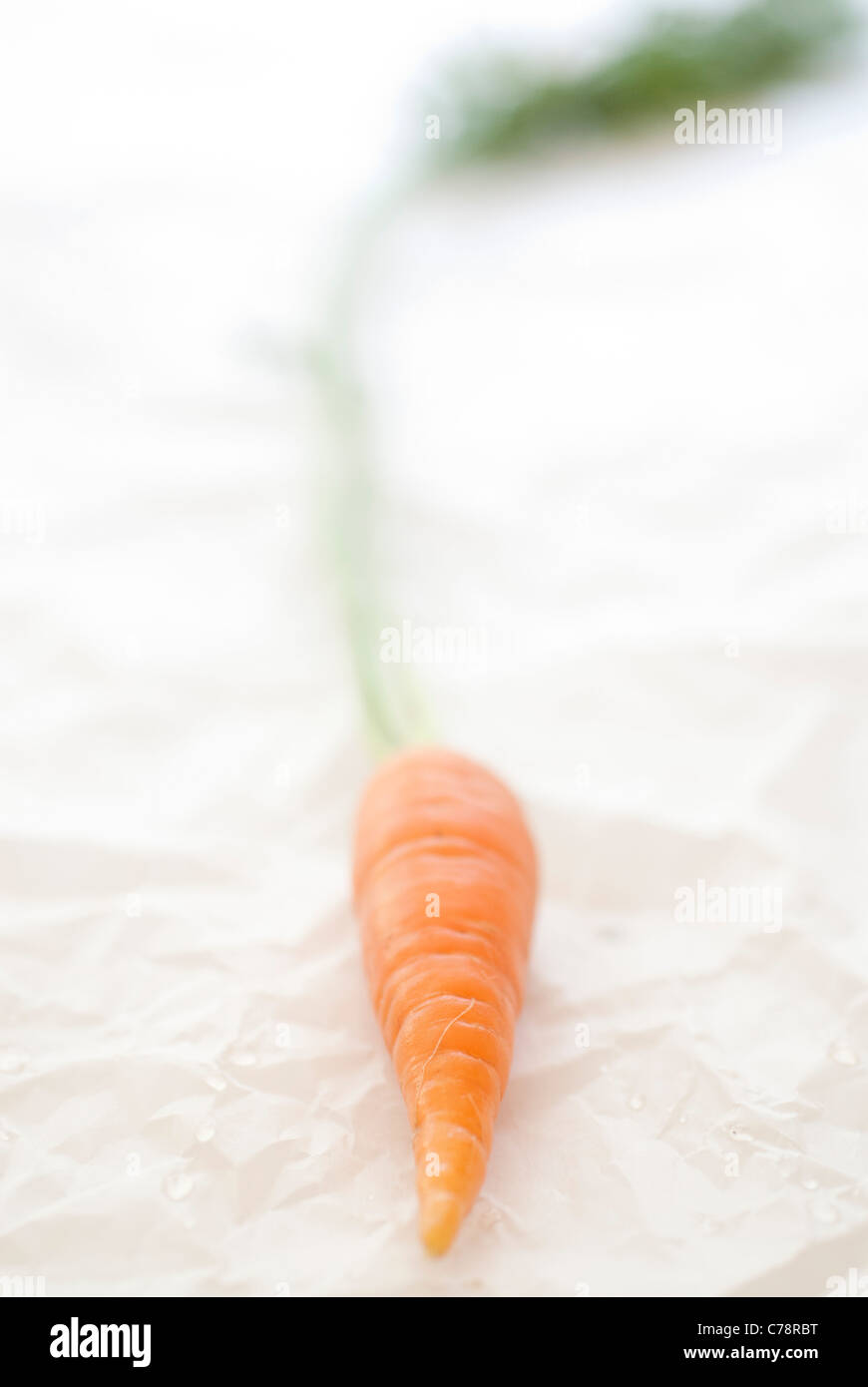 one fresh carrot Stock Photo - Alamy