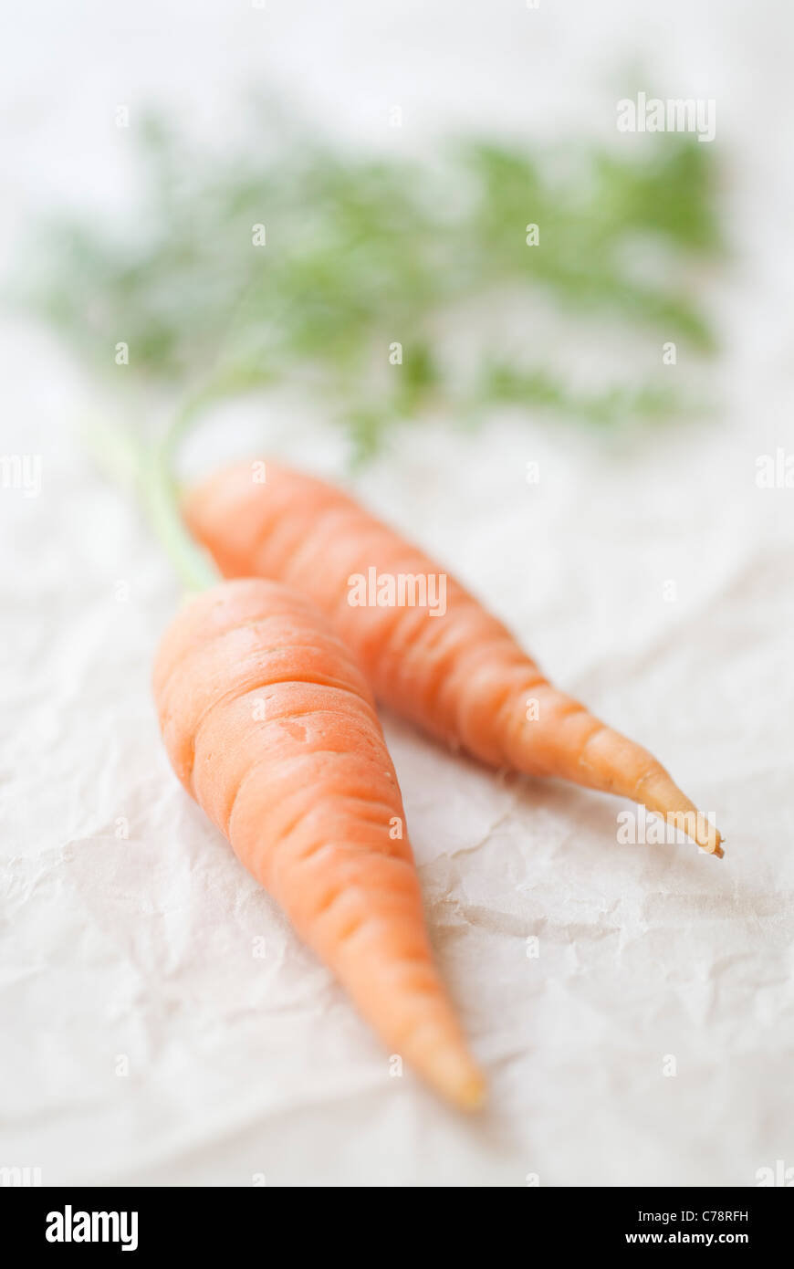 one fresh carrot Stock Photo - Alamy