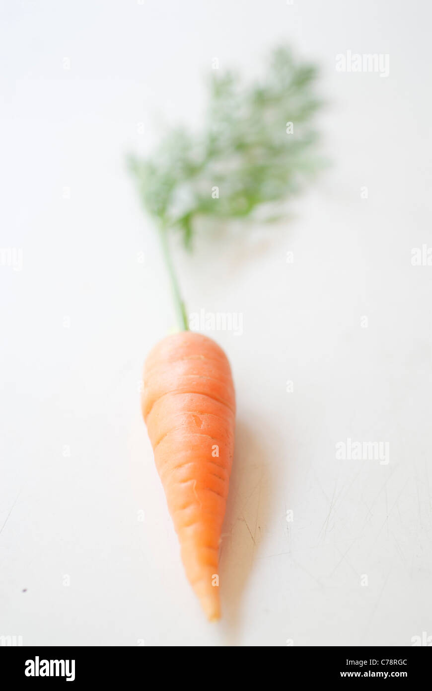 one fresh carrot Stock Photo - Alamy