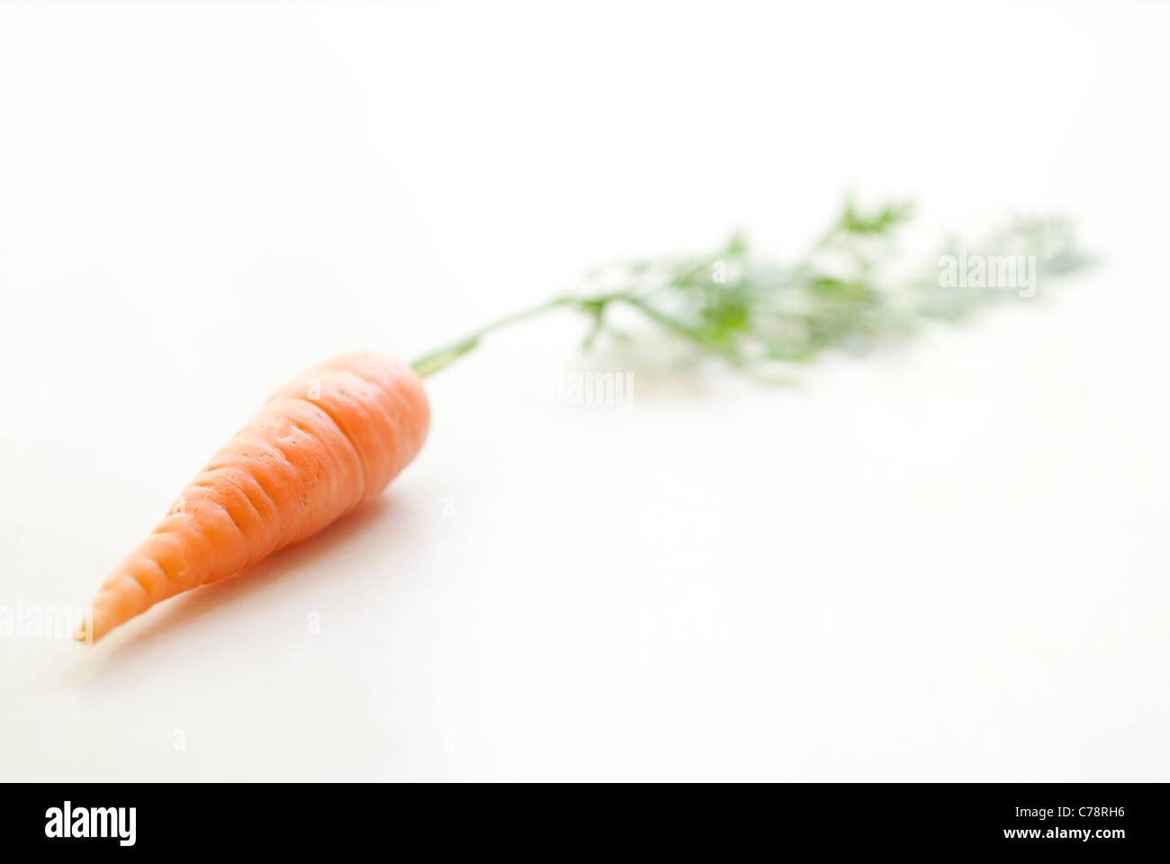 one fresh carrot Stock Photo - Alamy