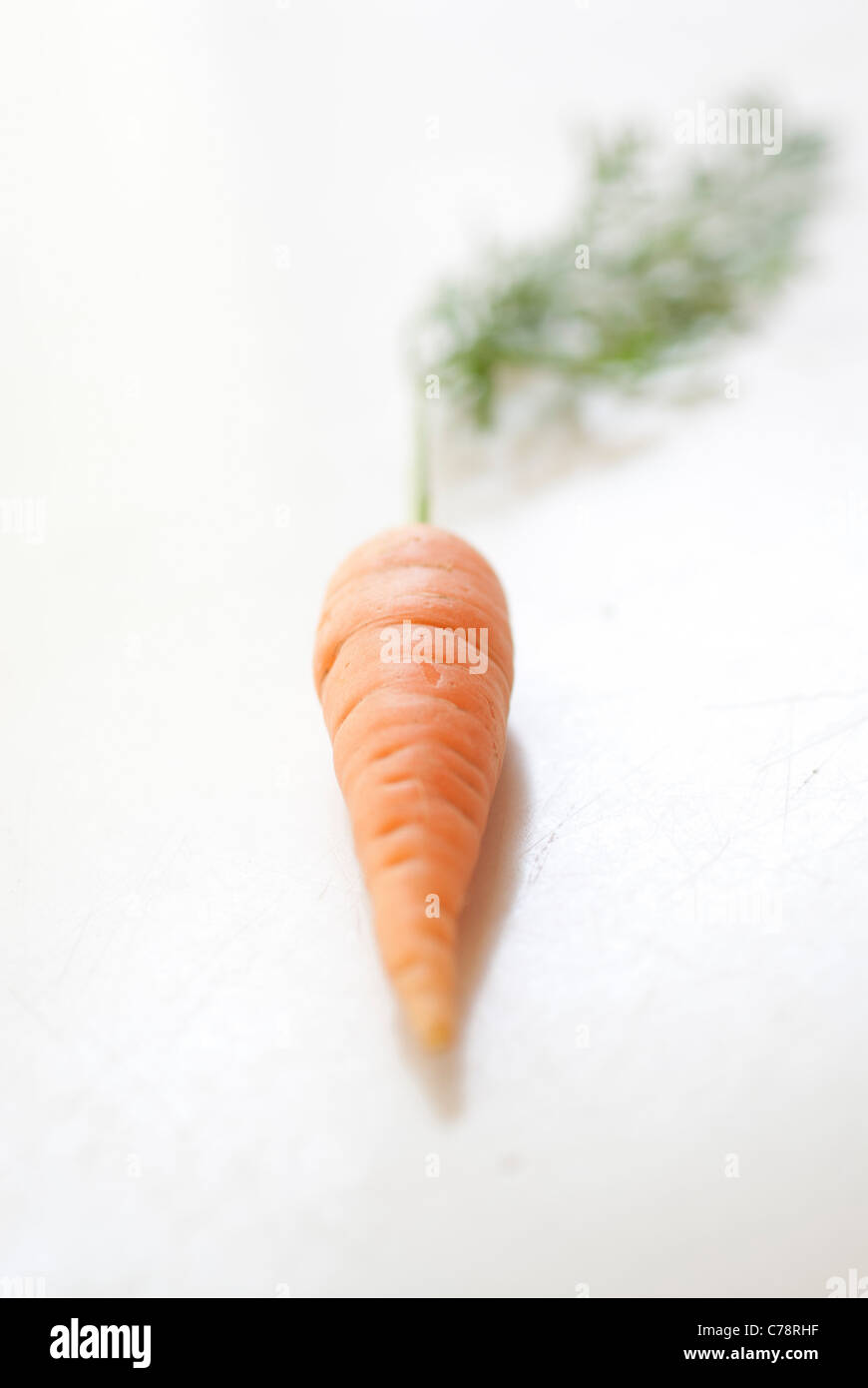 one fresh carrot Stock Photo - Alamy