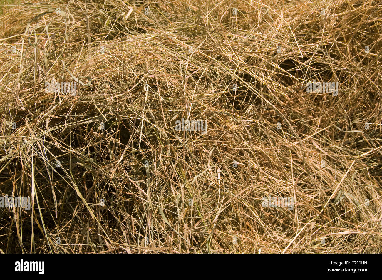 Mow hay hi-res stock photography and images - Alamy