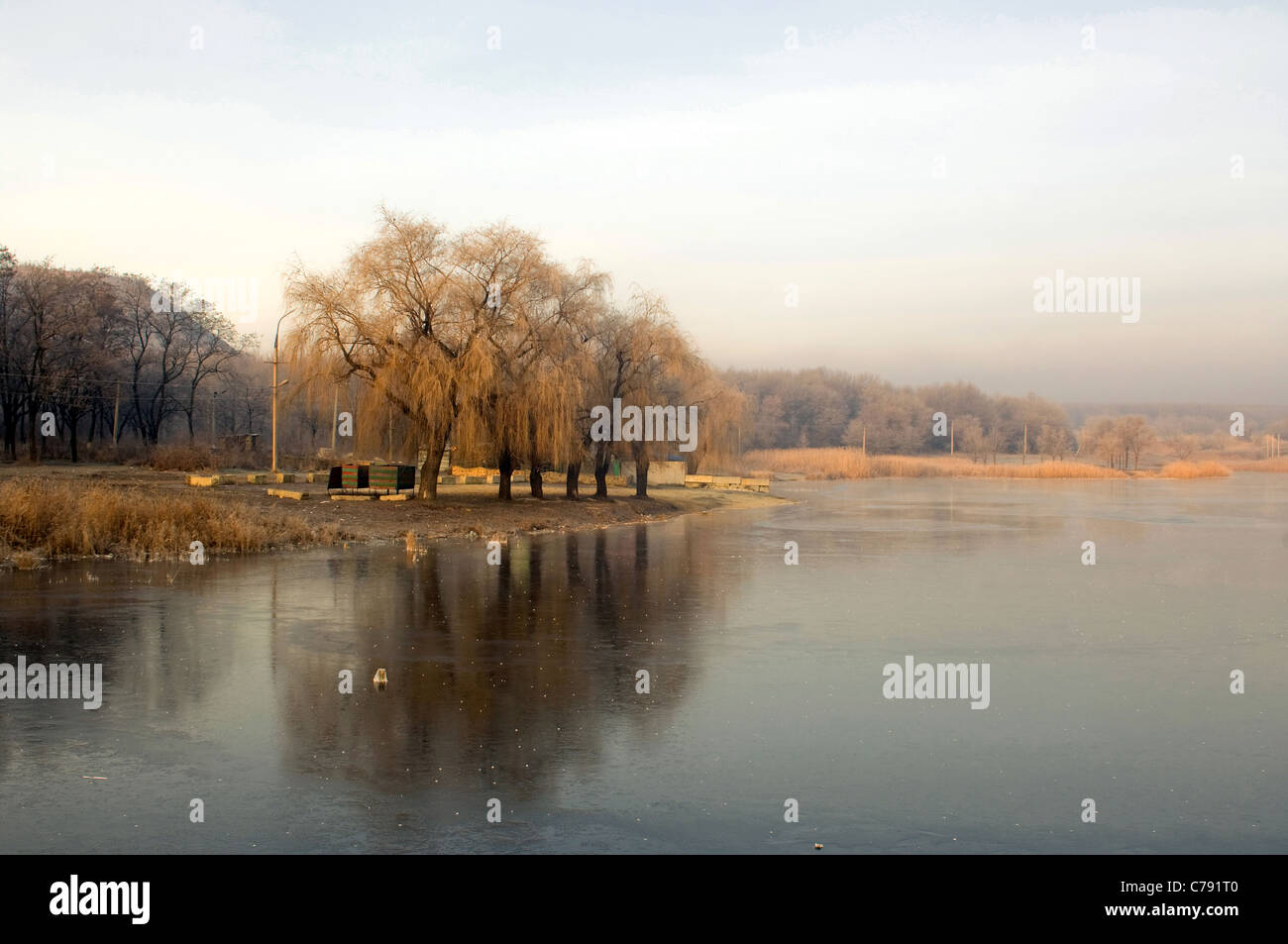 Reeds growing along shore hi-res stock photography and images - Alamy