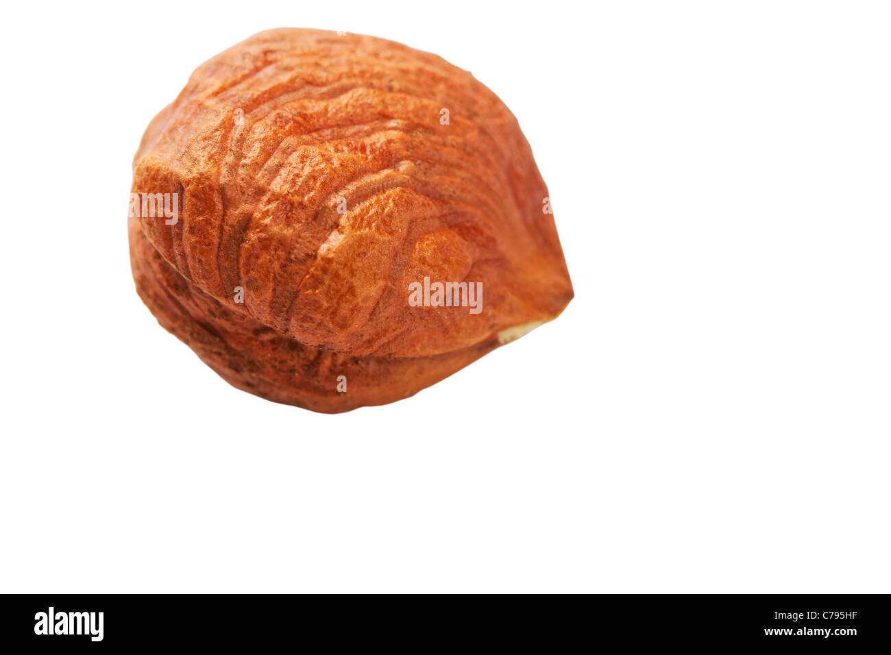Wood nut isolated on a white background Stock Photo - Alamy
