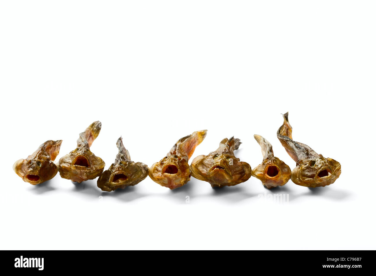 Fish tail fin hi-res stock photography and images - Alamy