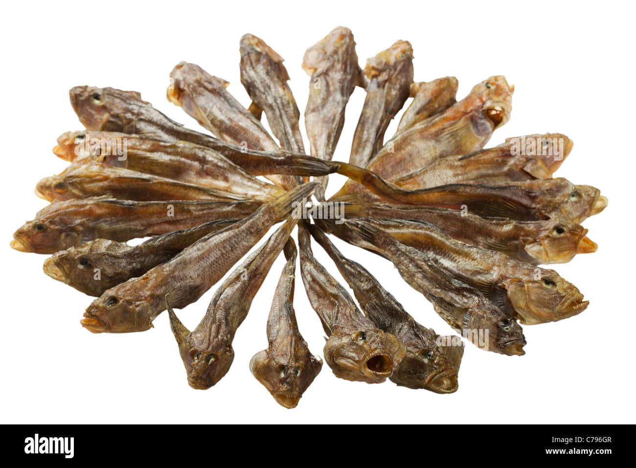 White small fish Cut Out Stock Images & Pictures - Alamy