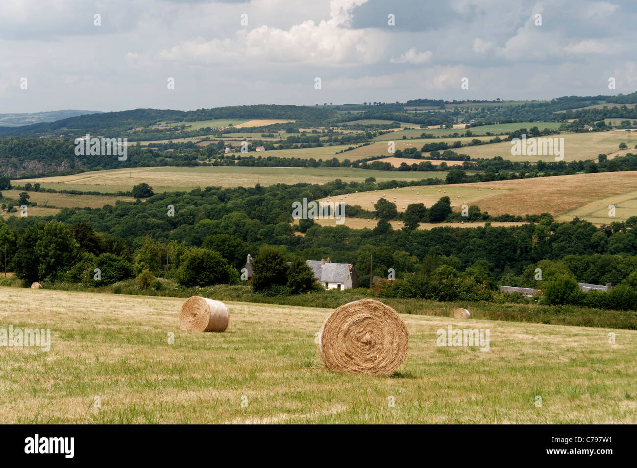Farmland in summer, 'Suisse Normande' (Swiss Normandy) , Calvados ...