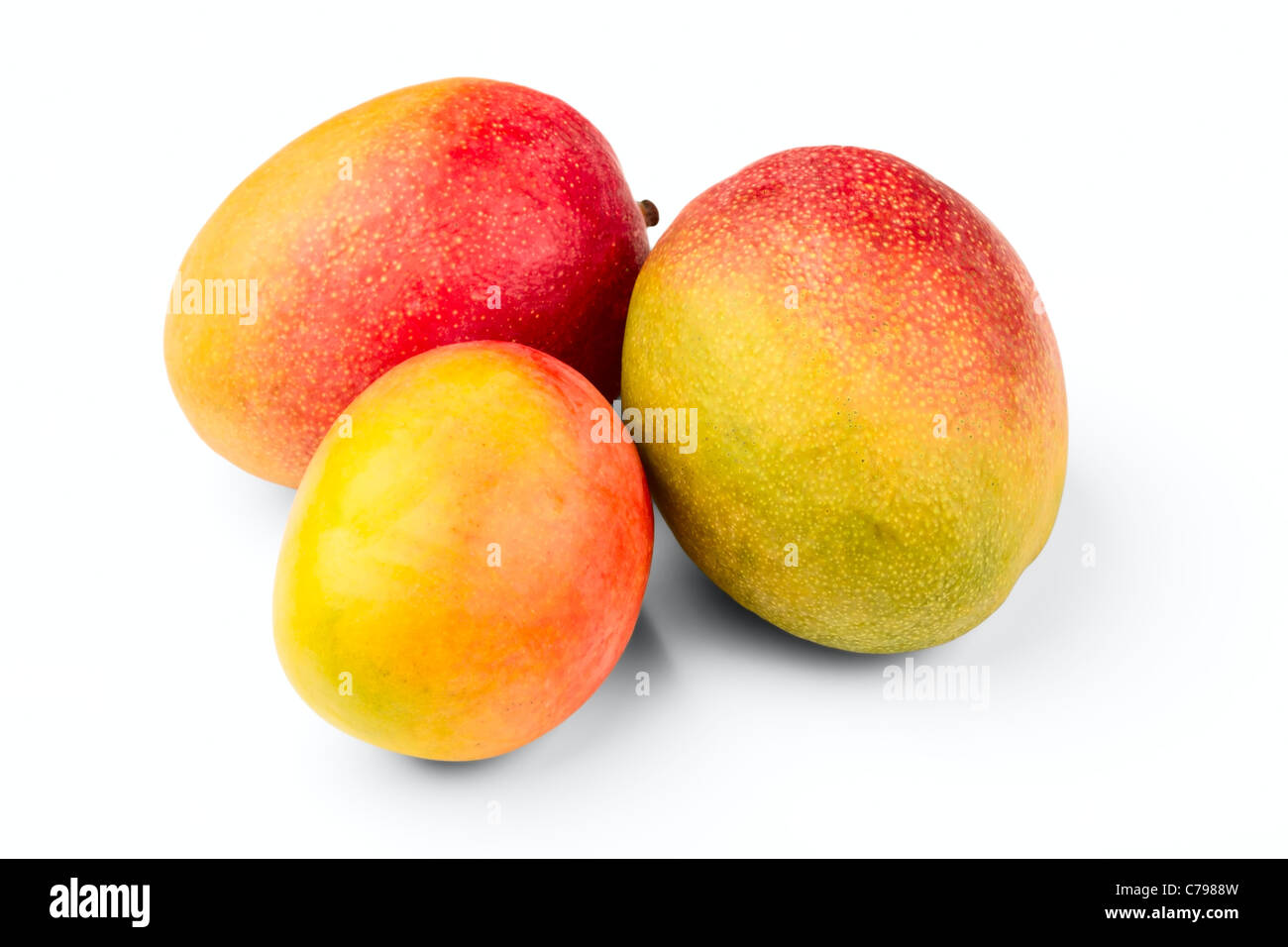 Three mangoes isolated on a white background Stock Photo - Alamy