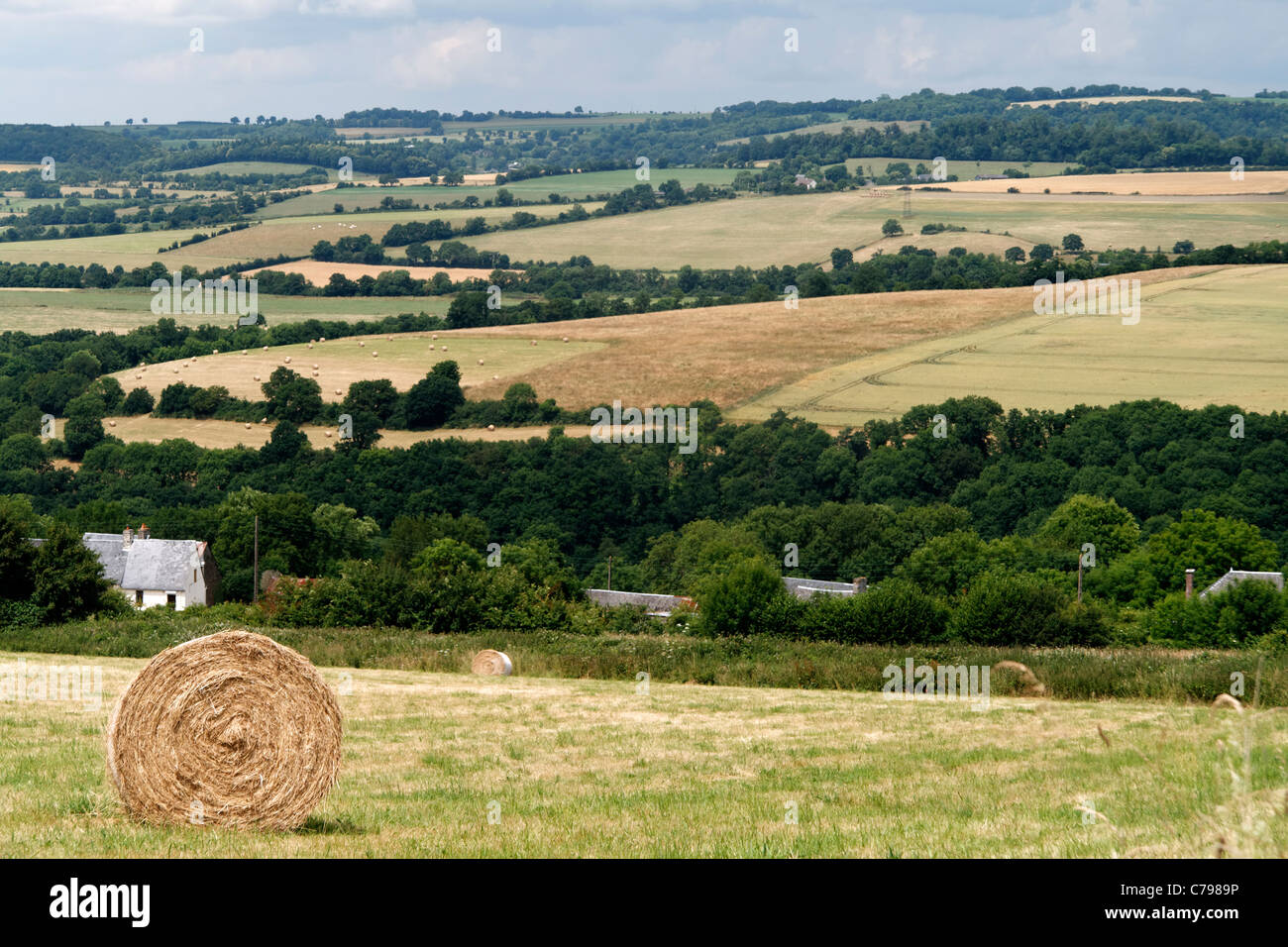 Farmland in summer, 'Suisse Normande' (Swiss Normandy) , Calvados ...