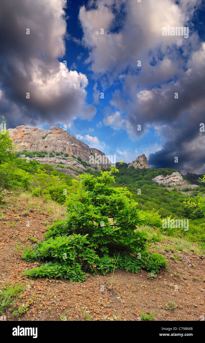 view of the mountain river in a sun day, path of the pioneer Stock ...