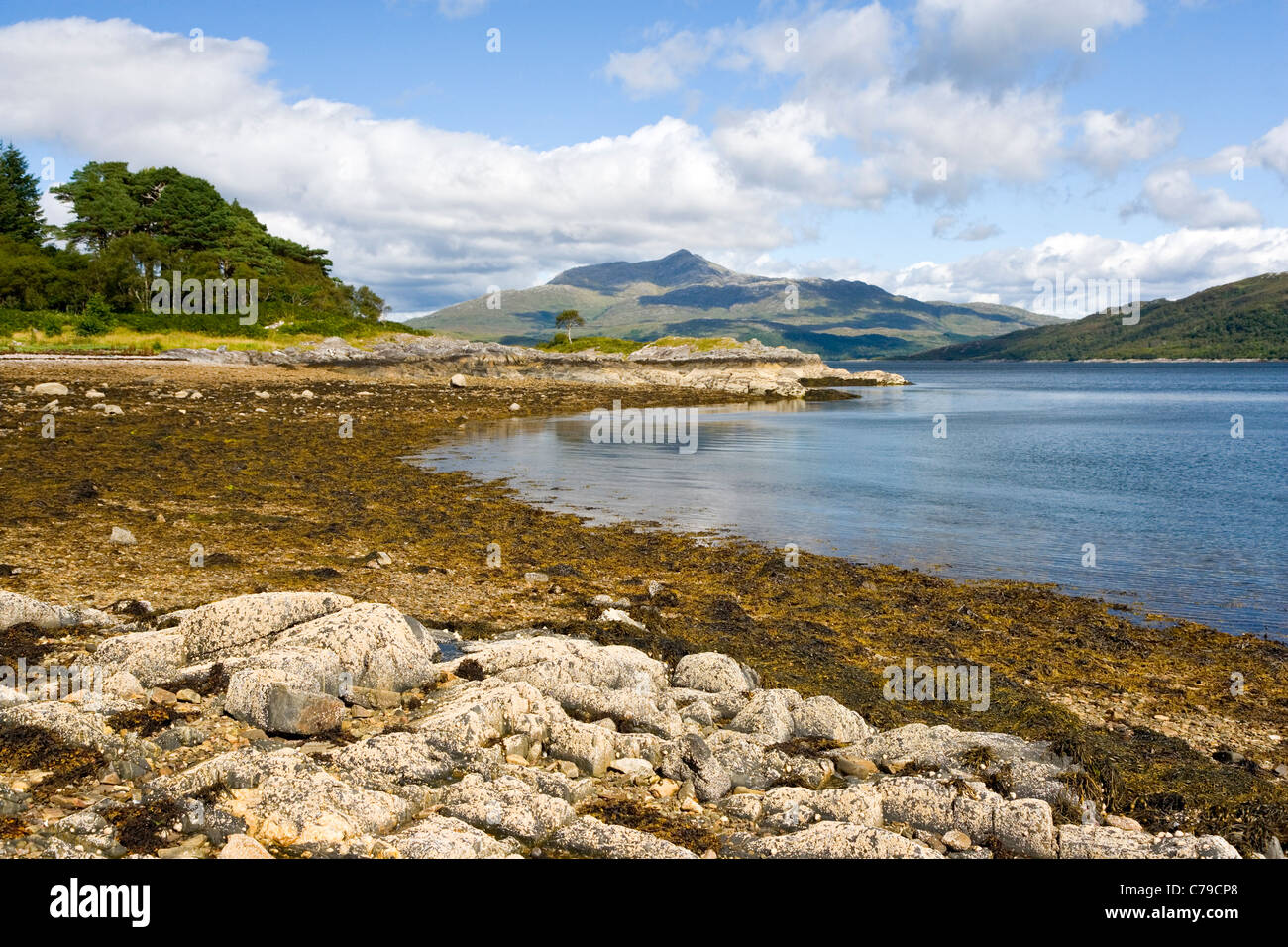 View of Loch Sunart on the Ardnamurchan peninsula on Scotlands west ...