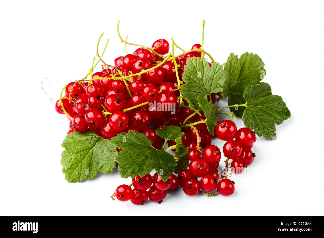 Red currant isolated on a white background Stock Photo - Alamy