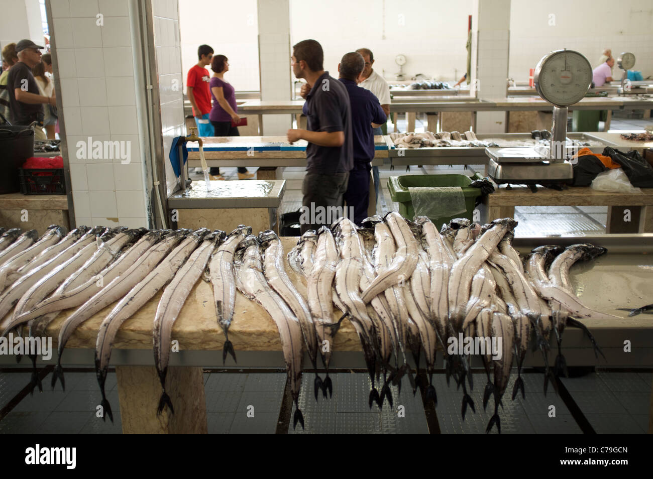 Fish market Madeira, Portugal showing black scabbardfish, Aphanopus ...