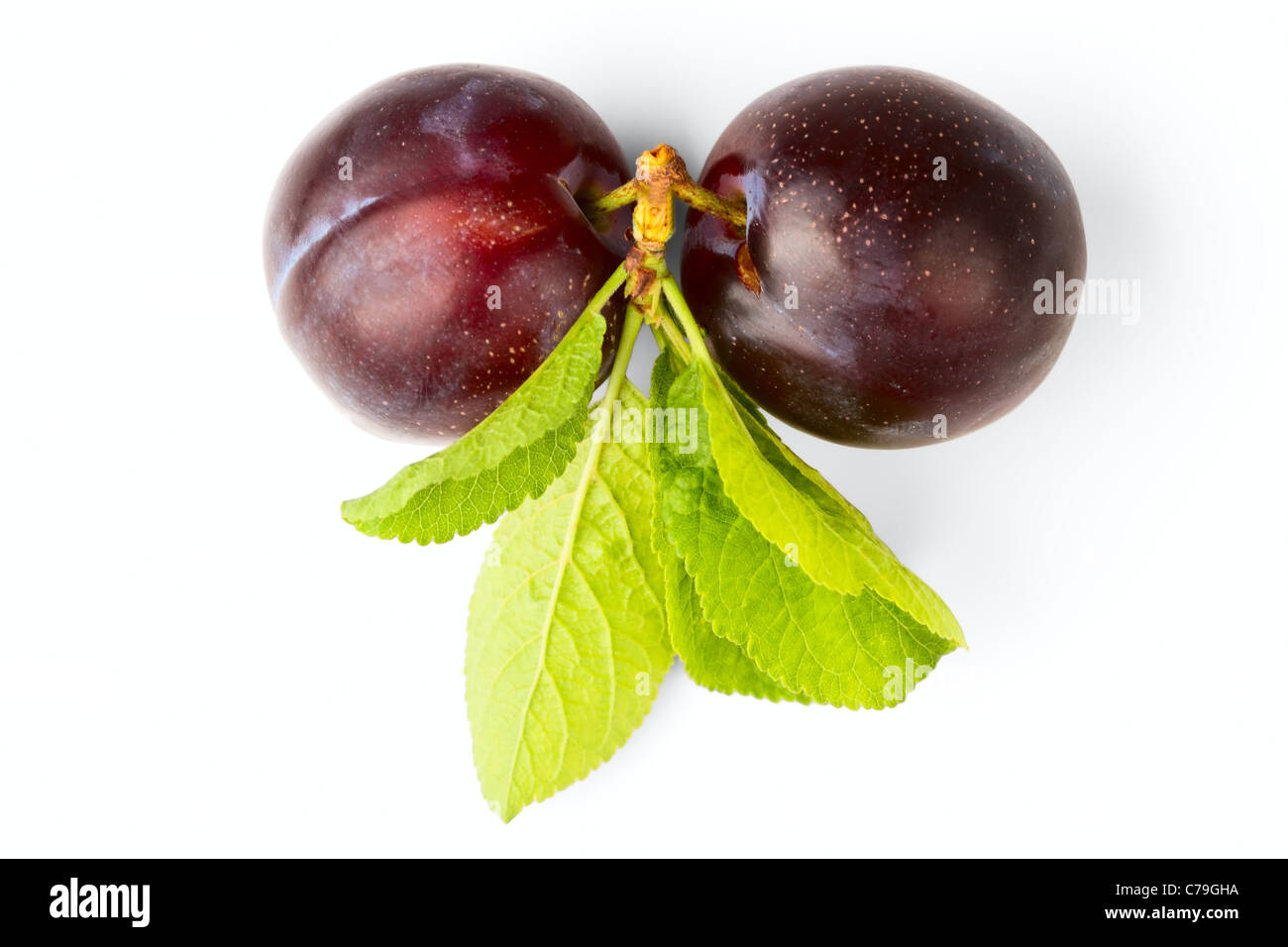 ripe plum isolated on a white background Stock Photo - Alamy