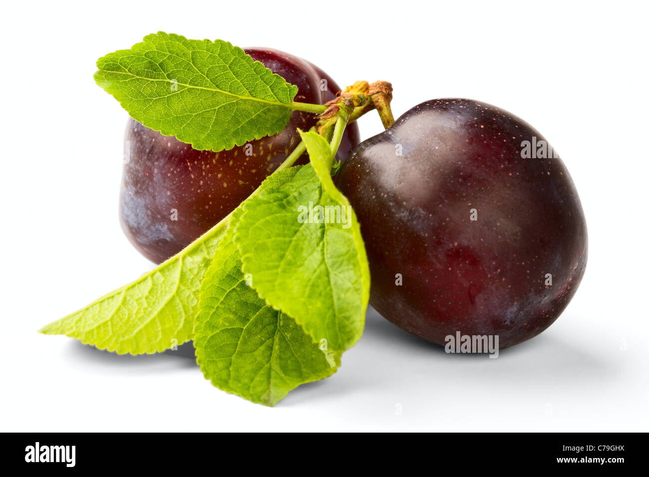 ripe plum isolated on a white background Stock Photo - Alamy