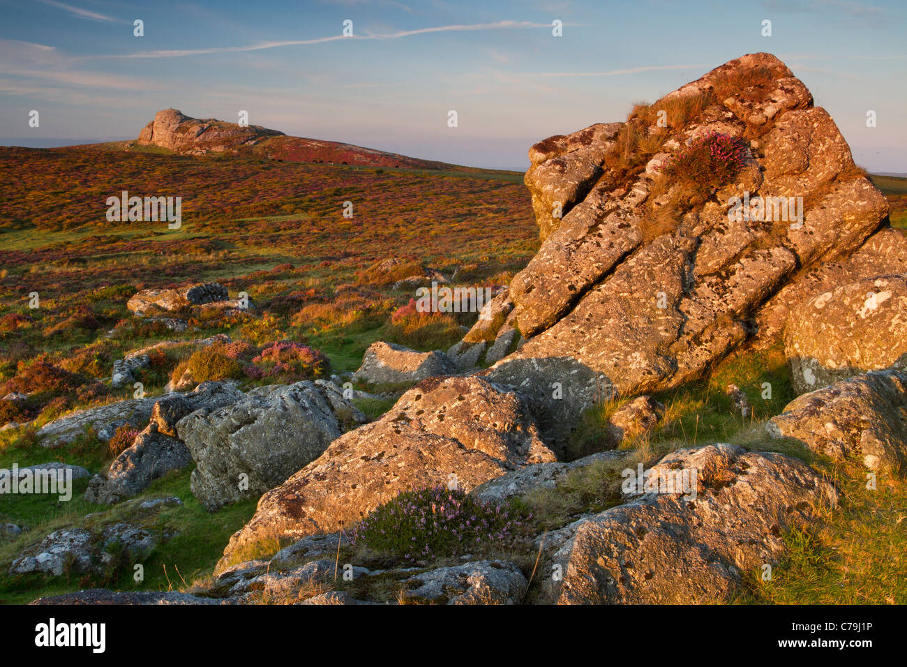 View to Haytor from Saddle Tor on Dartmoor in Devon Stock Photo - Alamy