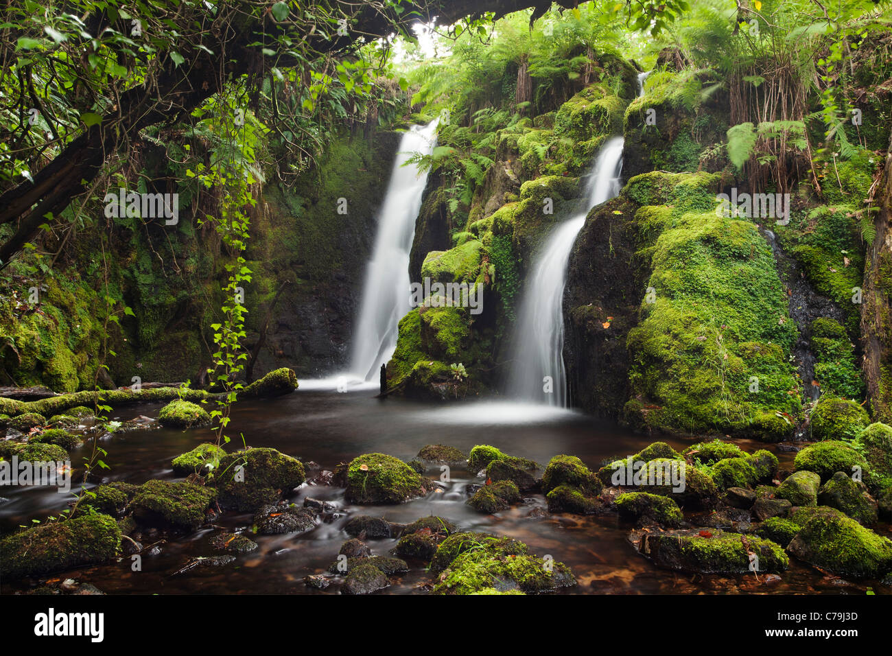 Waterfall on Dartmoor stream in Devon Stock Photo - Alamy