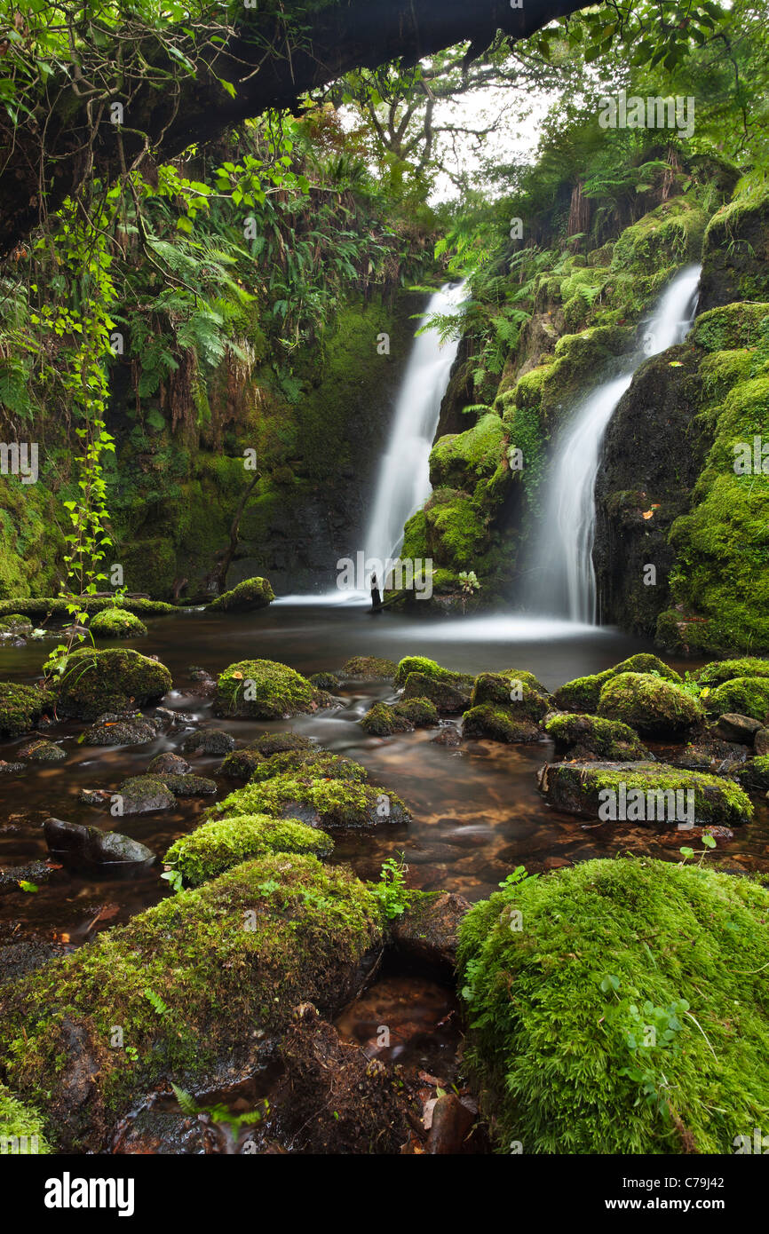 Waterfall on Dartmoor Stream in Devon Stock Photo - Alamy