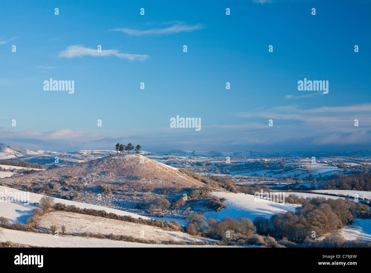 Colmers hill bridport hi-res stock photography and images - Alamy
