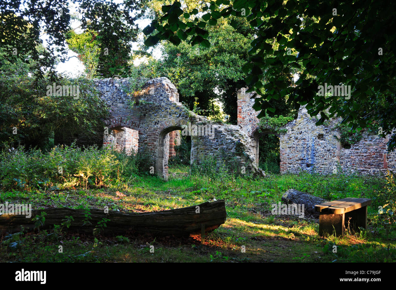 The ruins of Trowse Newton Hall at Whitlingham Country Park near ...