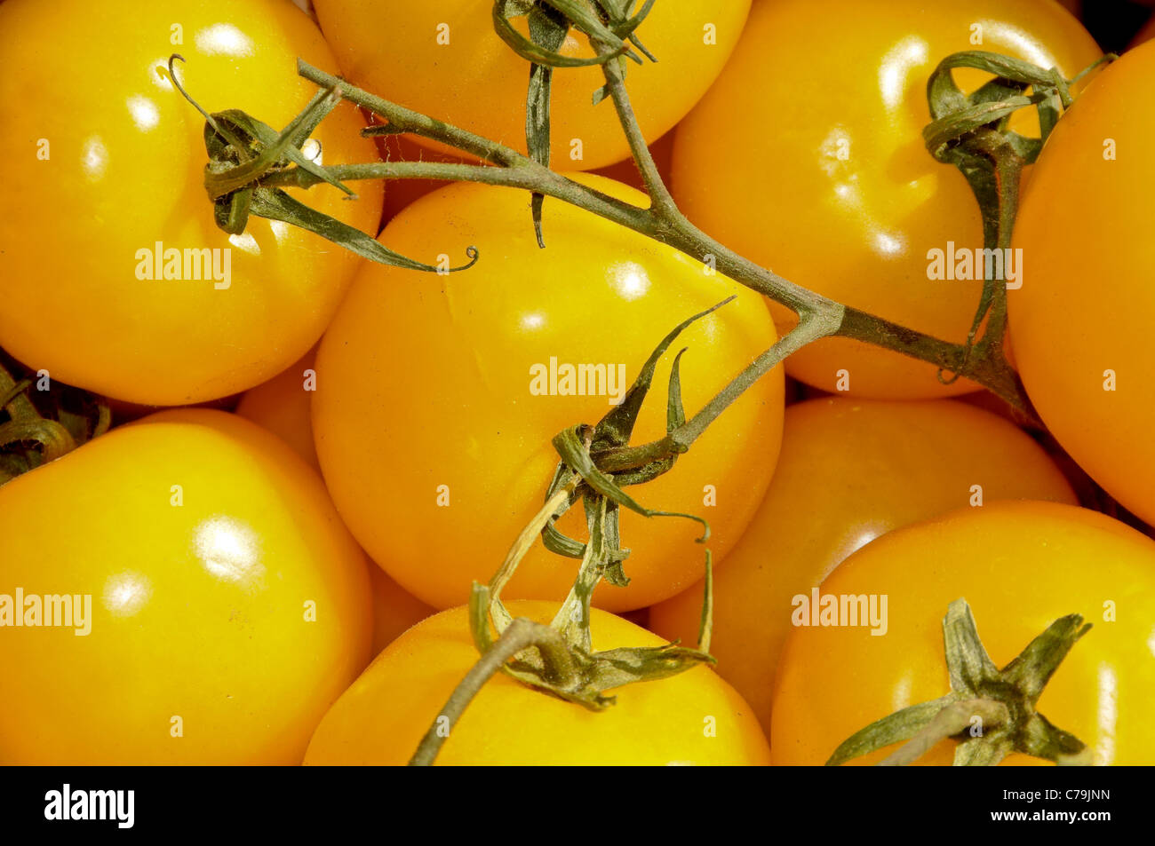 Close-Up of Yellow Tomatoes Stock Photo - Alamy
