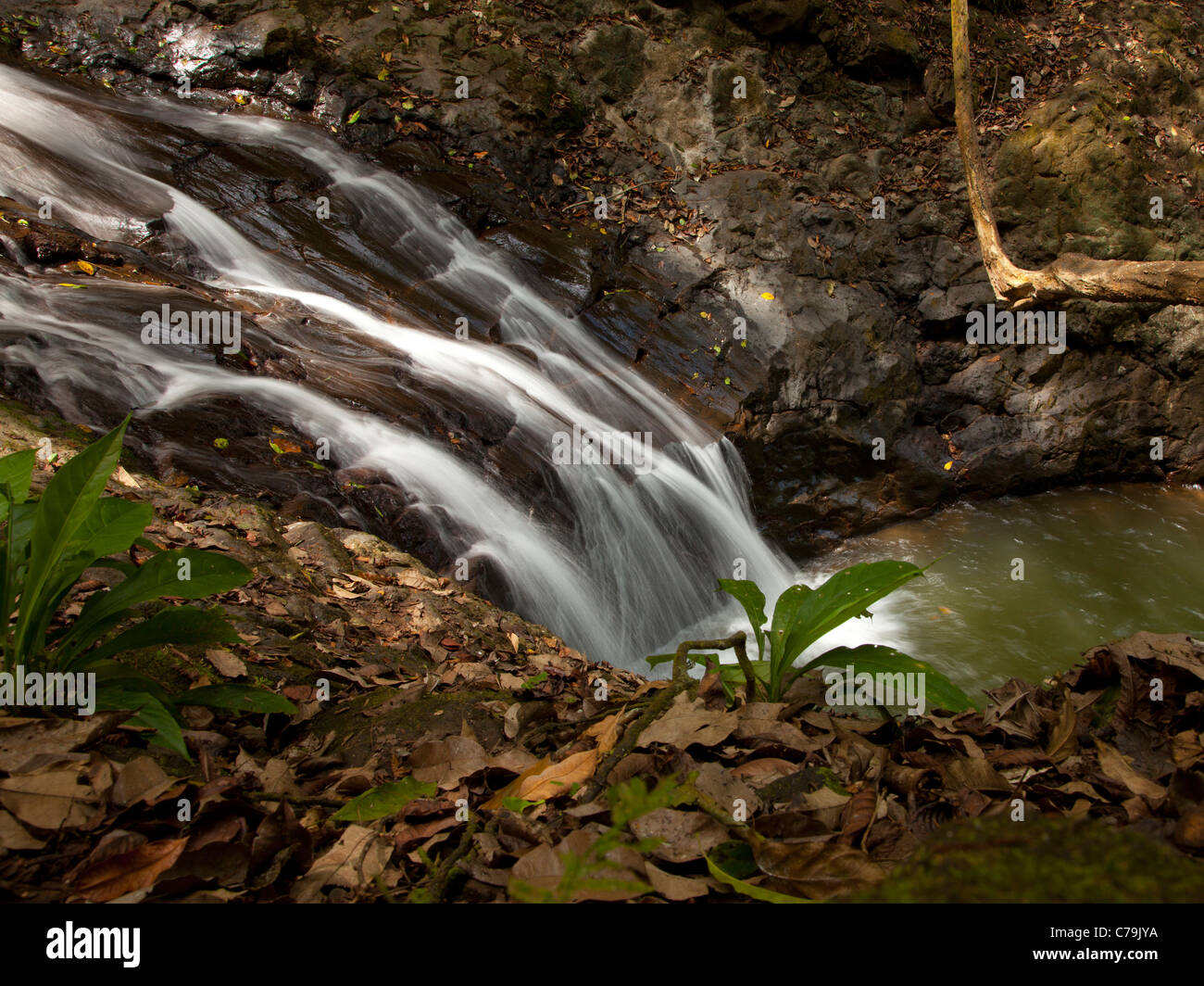 Costa Rica, Fast flowing waterfall Stock Photo - Alamy
