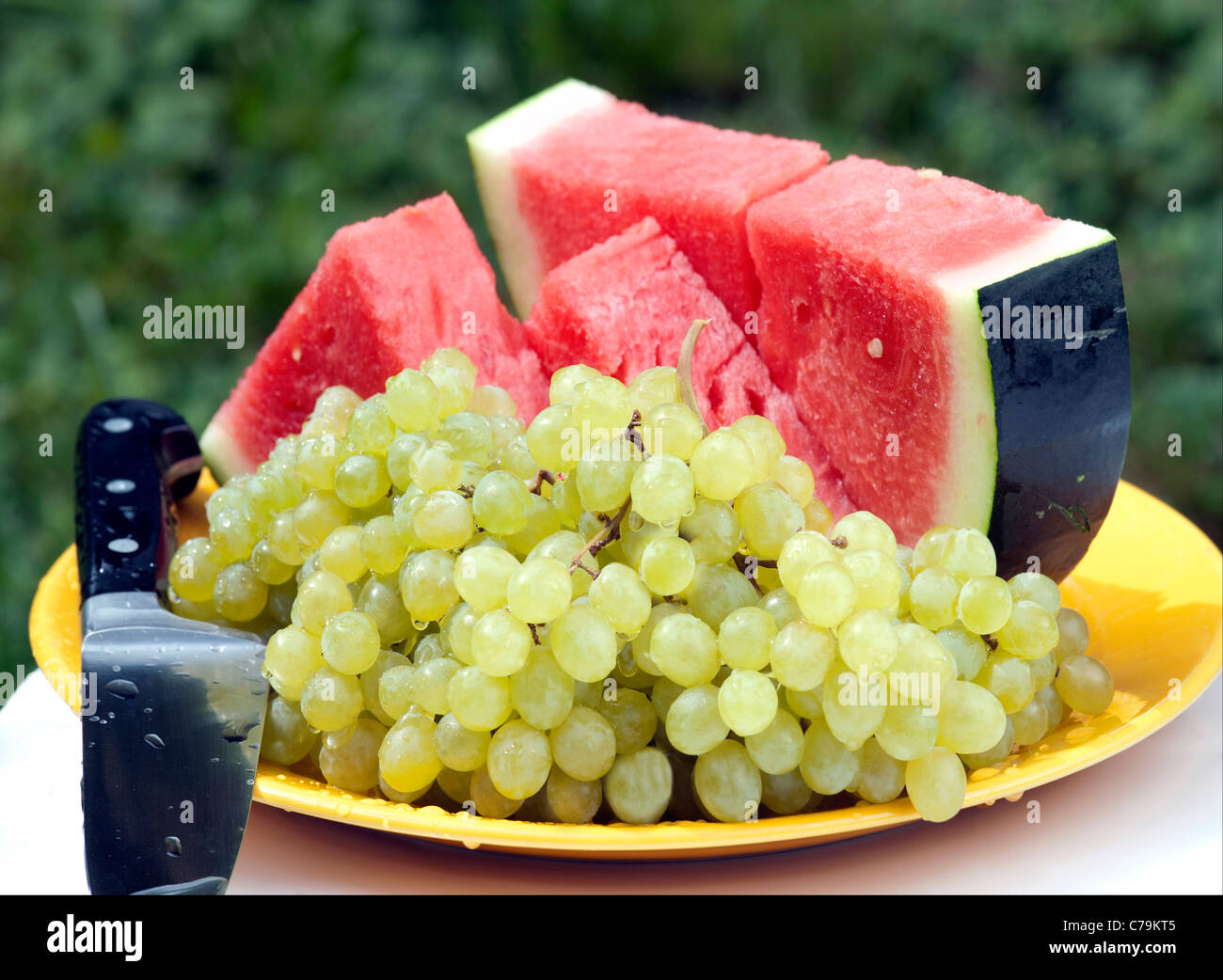Melon vine hi-res stock photography and images - Alamy