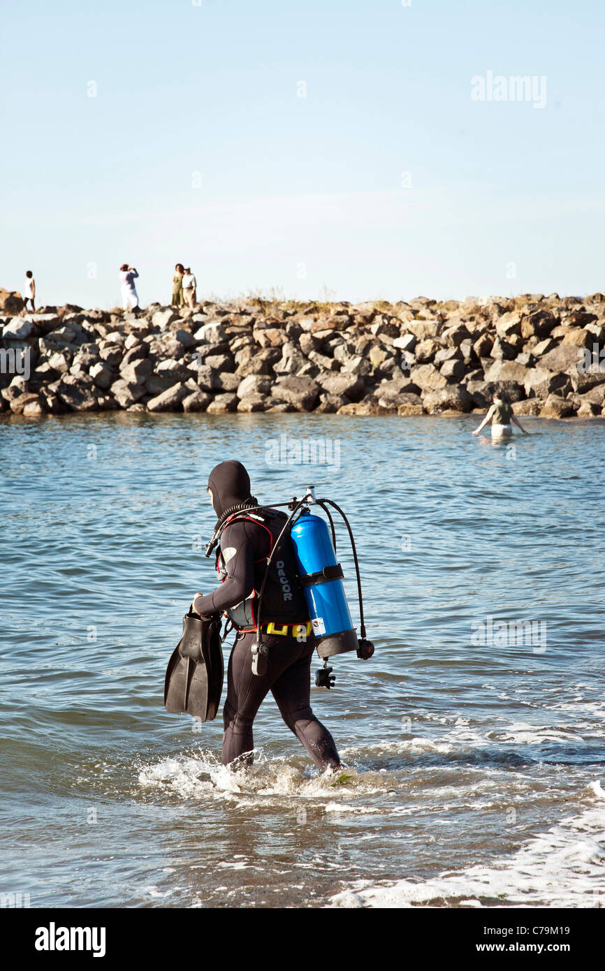 scuba diver in wetsuit wades into chilly water behind stone jetty ...