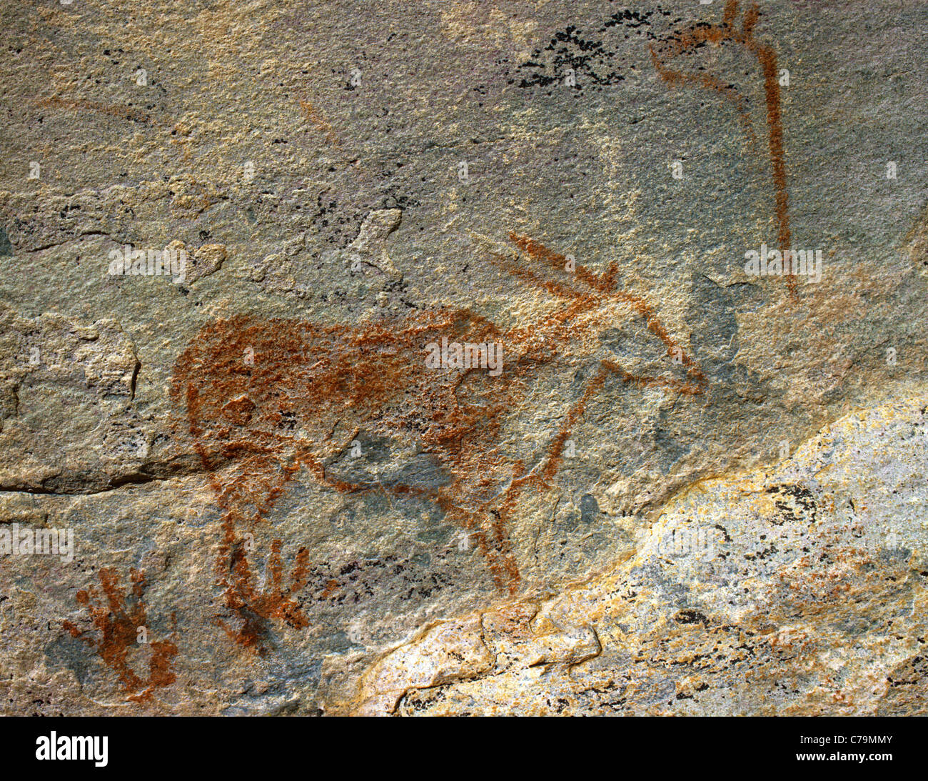 Bushman rock art Botswana Stock Photo - Alamy