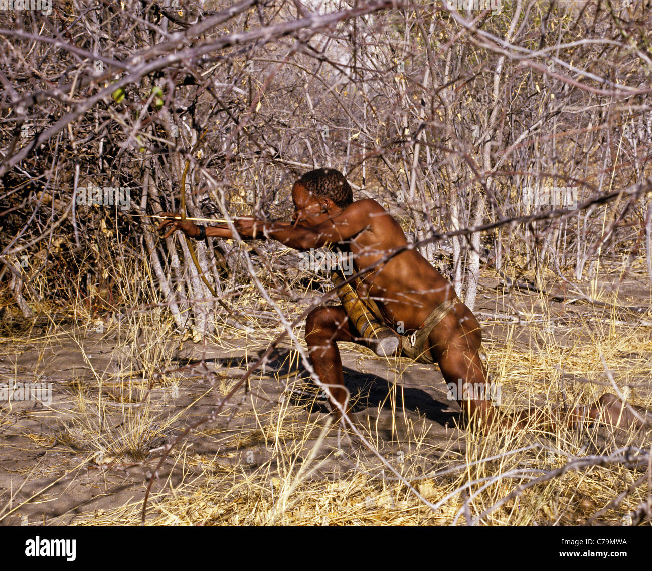 Botswana bushman hunting hi-res stock photography and images - Alamy
