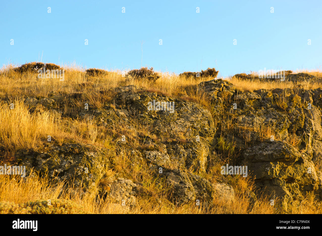 park, nature, landscape Stock Photo - Alamy