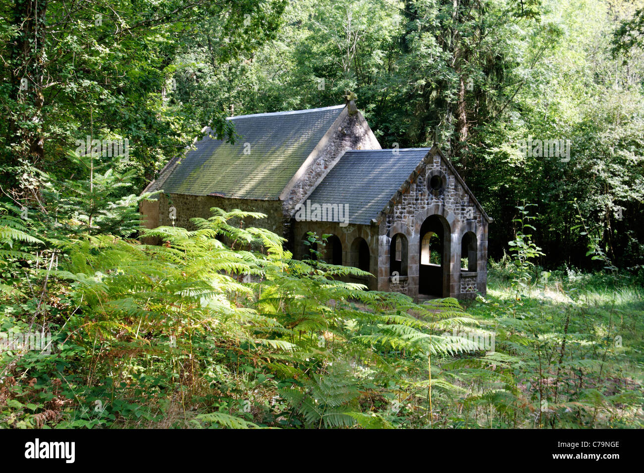 France normandy forest hi-res stock photography and images - Alamy