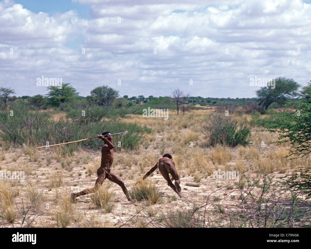 Bushmen hunters kalahari hi-res stock photography and images - Alamy
