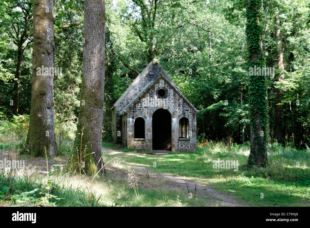 France normandy forest hi-res stock photography and images - Alamy