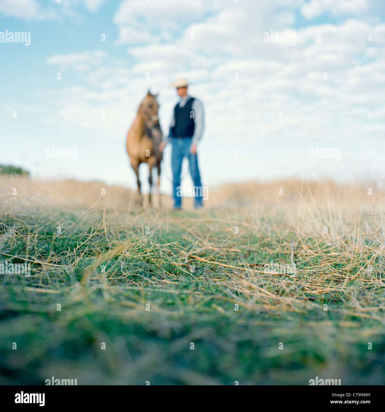 USA, Utah, Mapleton, Cowboy standing with horse at pasture, focus on ...