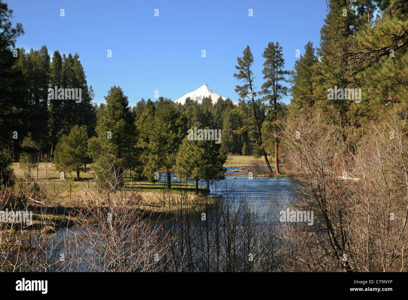 the central Oregon Cascade volcano Mount Jefferson behind the head of ...