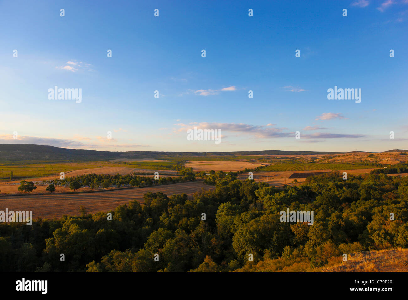 Park Nature Landscape Stock Photo Alamy