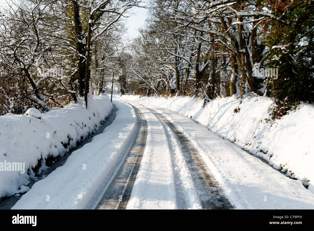 Country road in the snow, bocage of Normandy : hedges planted trees ...