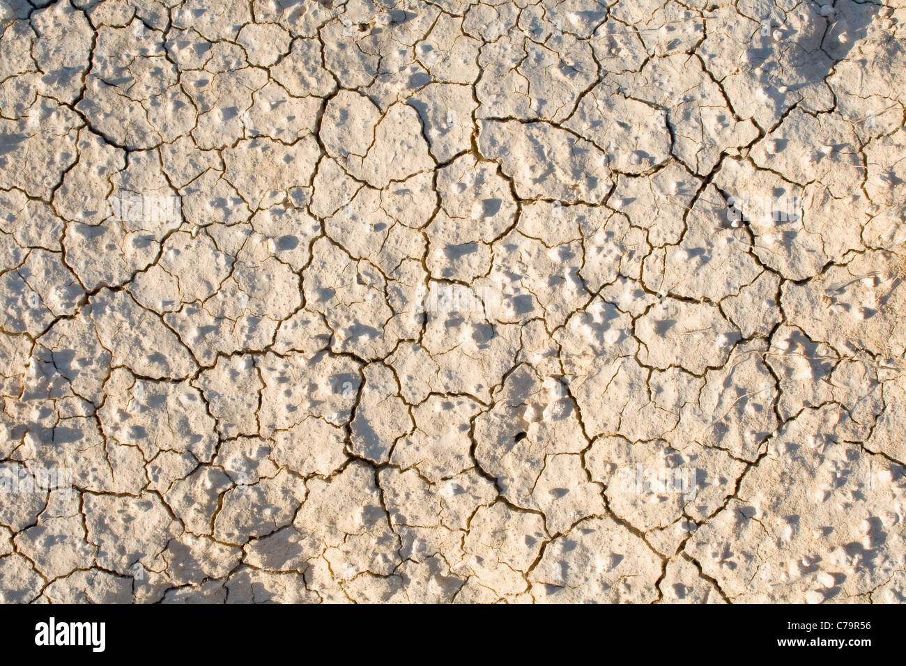 Cracked dry ground on hot summer Stock Photo - Alamy