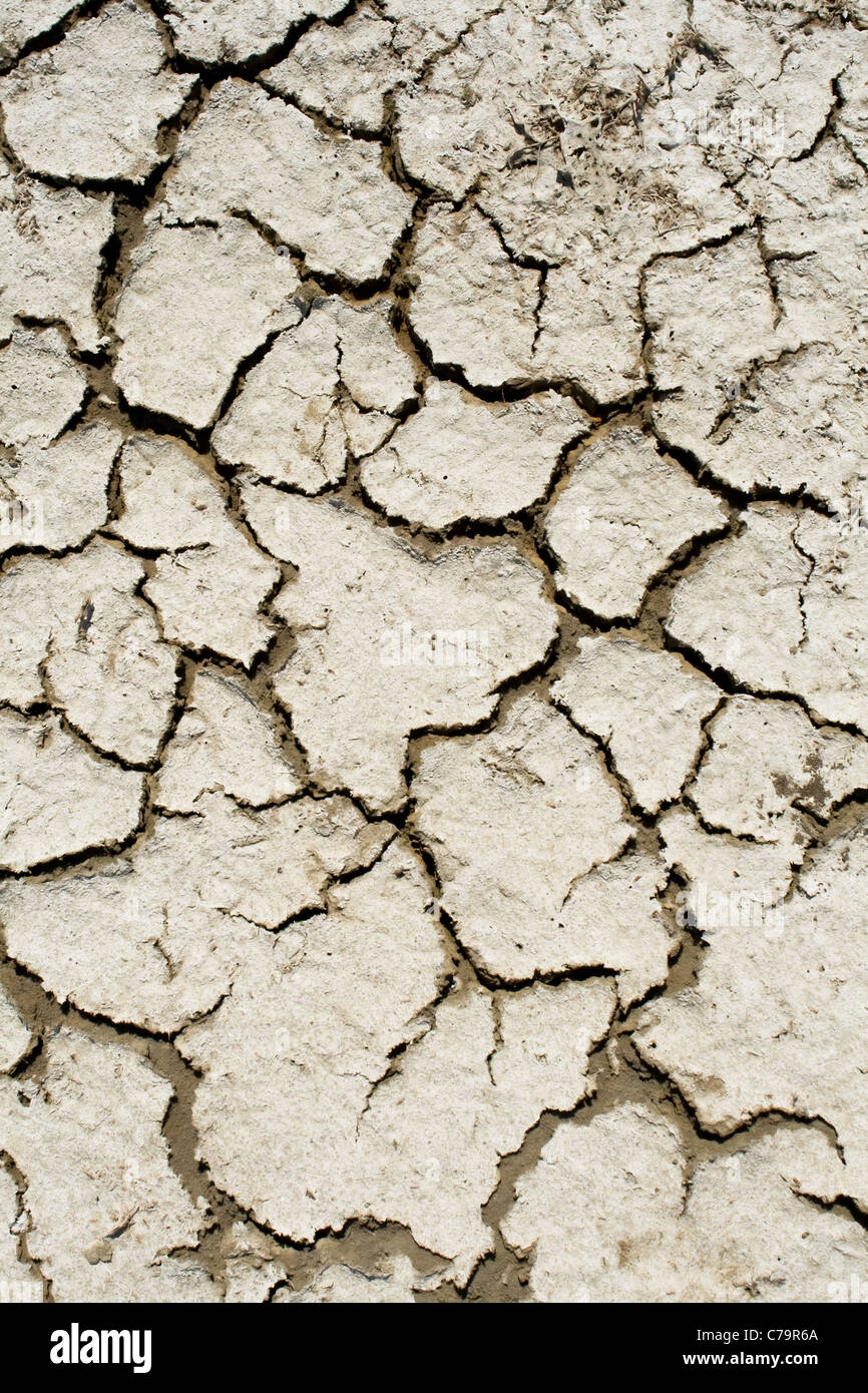 Cracked dry ground on hot summer Stock Photo - Alamy