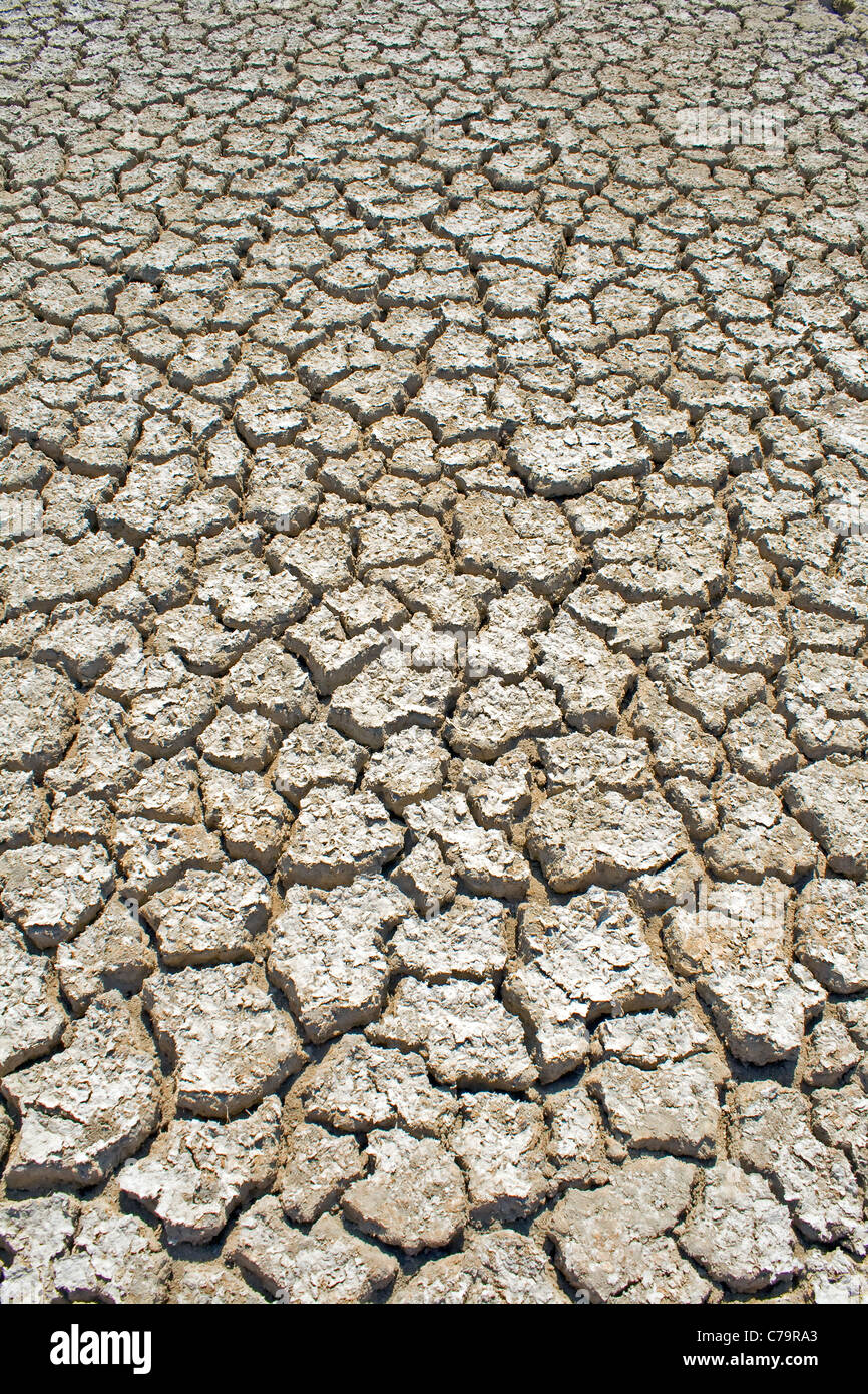 Cracked dry ground on hot summer Stock Photo - Alamy