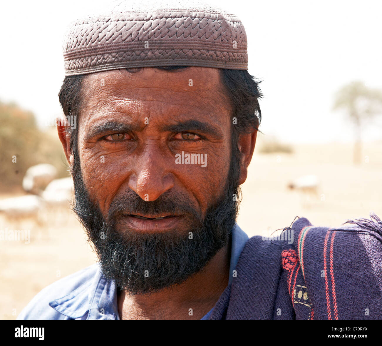Indian Shepherd with Beard Pushkar Rajasthan India Stock Photo - Alamy