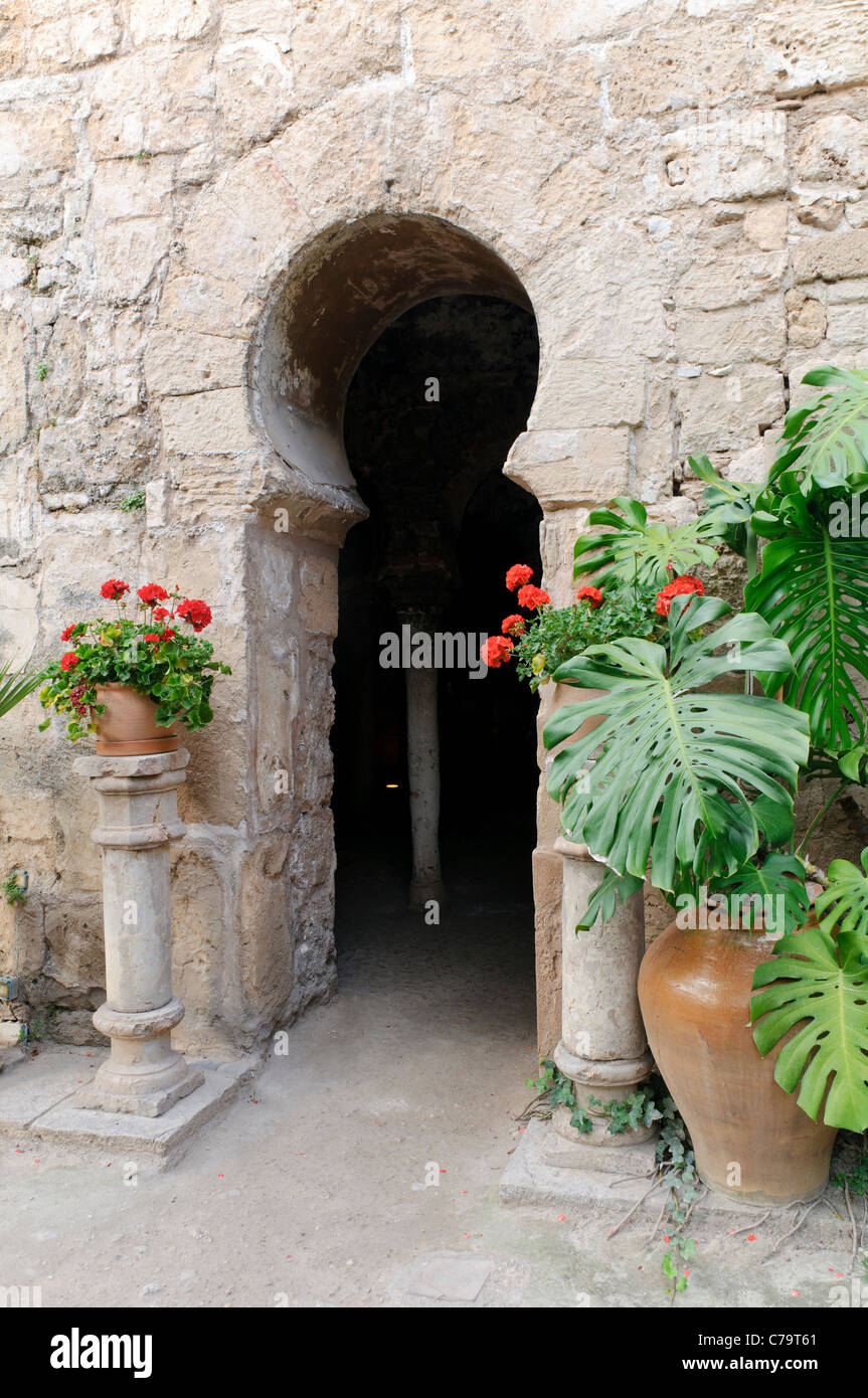 Arab Baths in the historic town centre of Palma de Majorca, Majorca ...