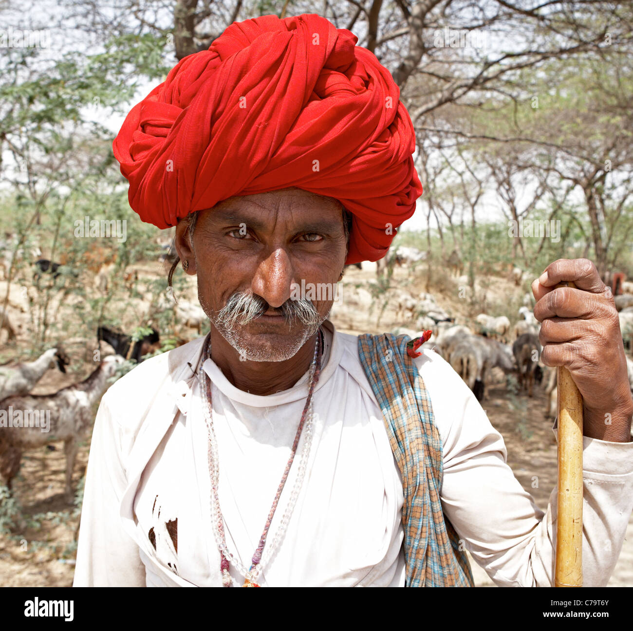 Indian shepherd hi-res stock photography and images - Alamy