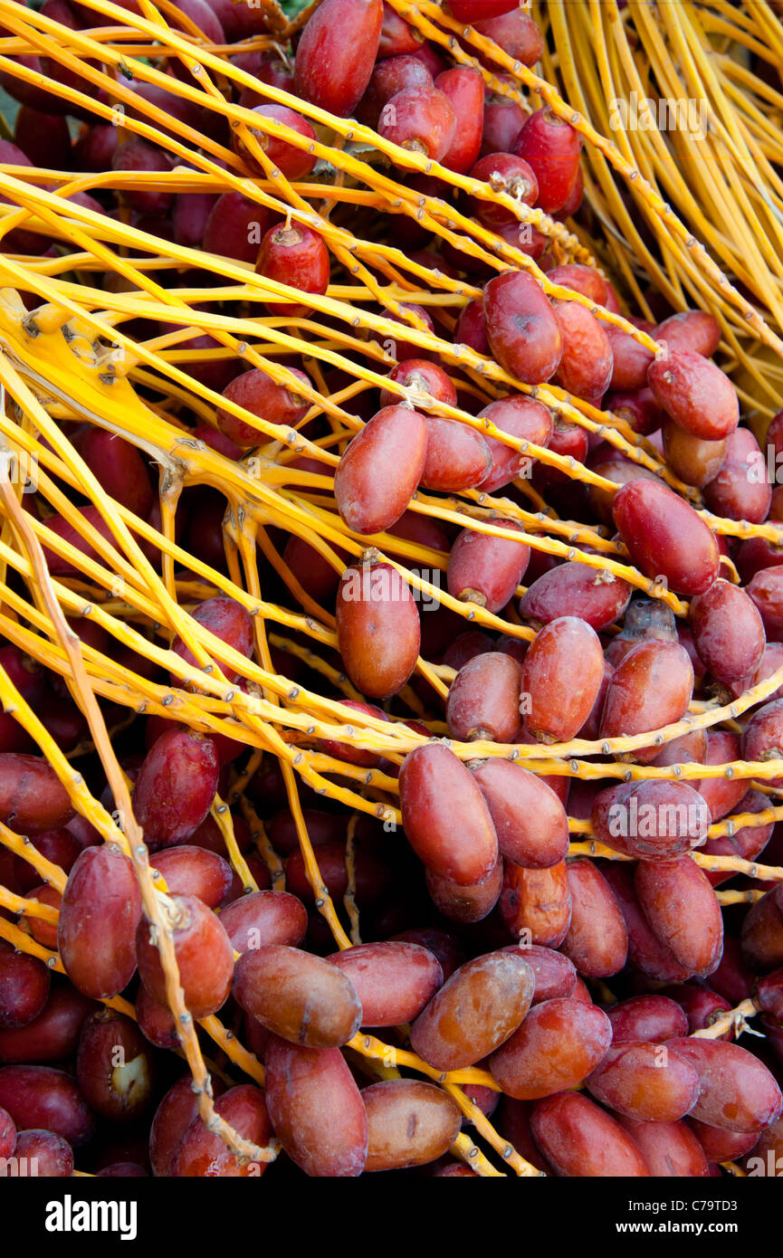 Fresh date fruit hi-res stock photography and images - Alamy